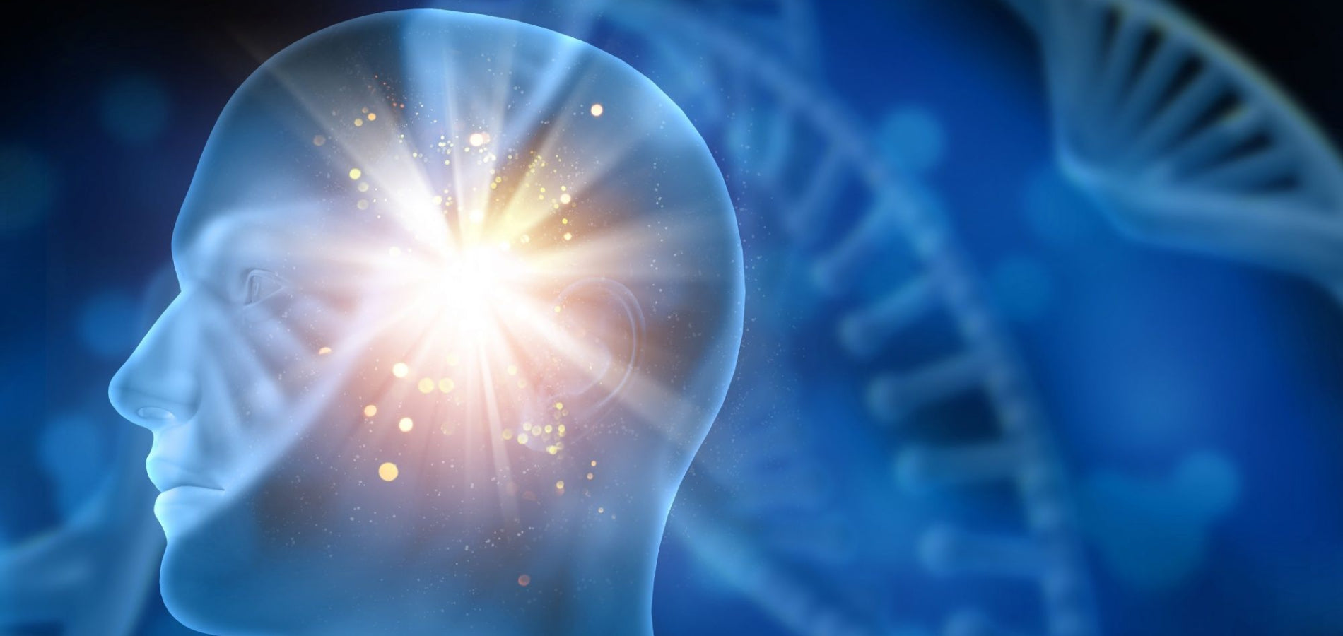 Why Do You Think The Way You Do? – PIROOZ